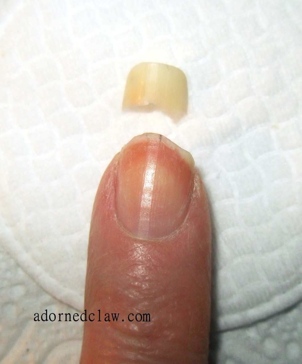 How I Fix A Broken Nail! | The Adorned Claw