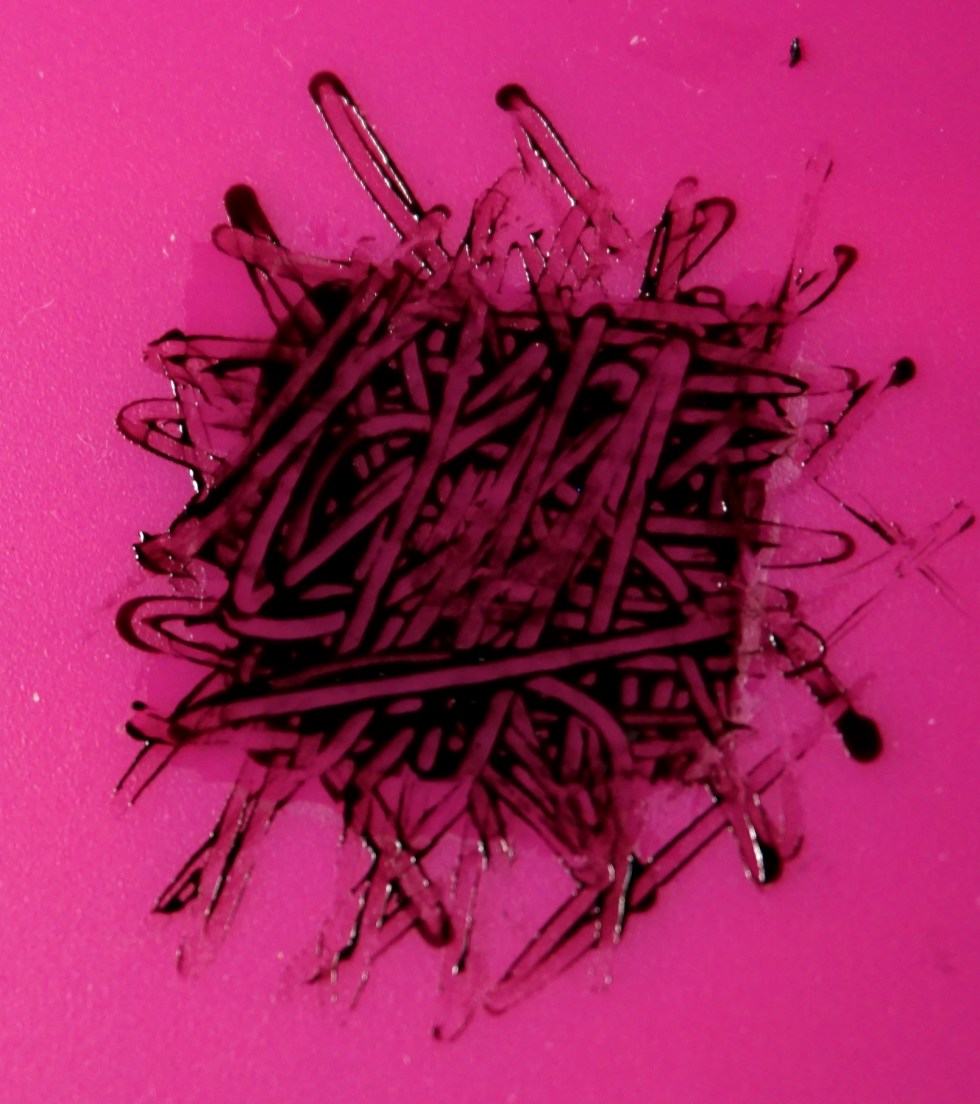 The Adorned Claw | Nail Art